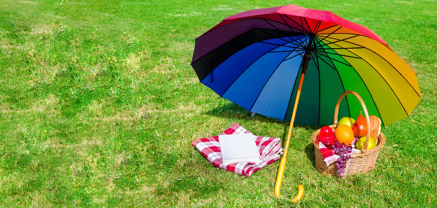 Castlemaine Pride - Picnic in the Park | Thorne Harbour Health